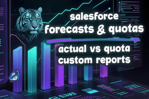 Salesforce Forecasts Quotas Custom Report Types For Actual Vs Quota